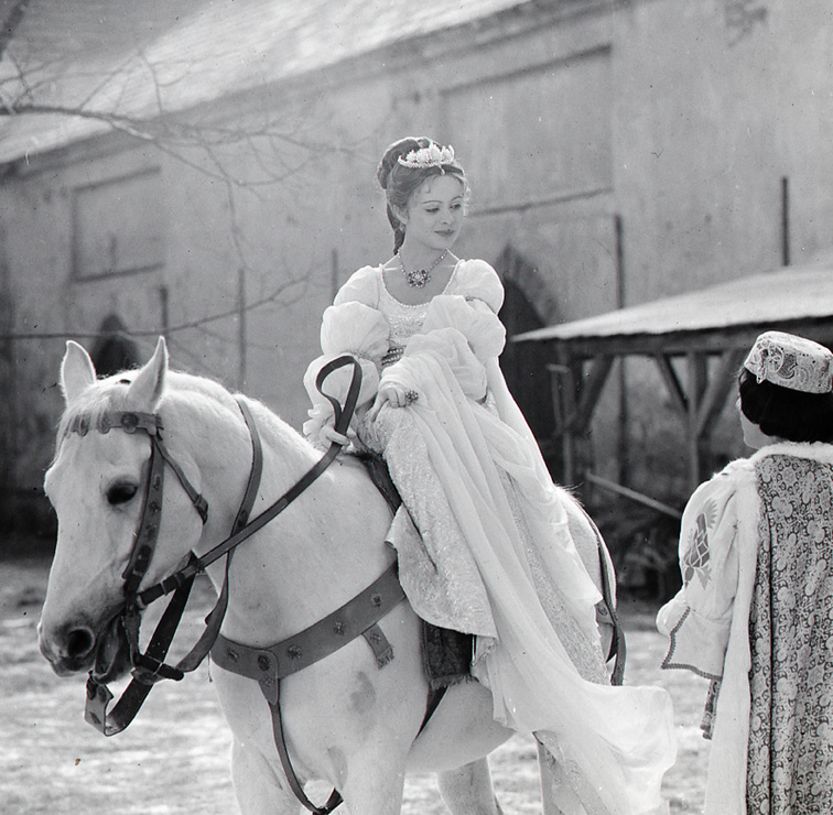 Picture of Libuse Safránková