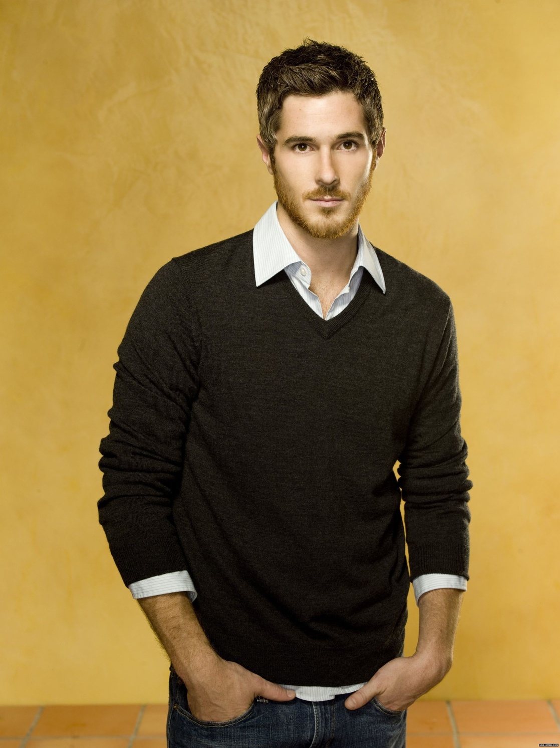 Picture of Dave Annable