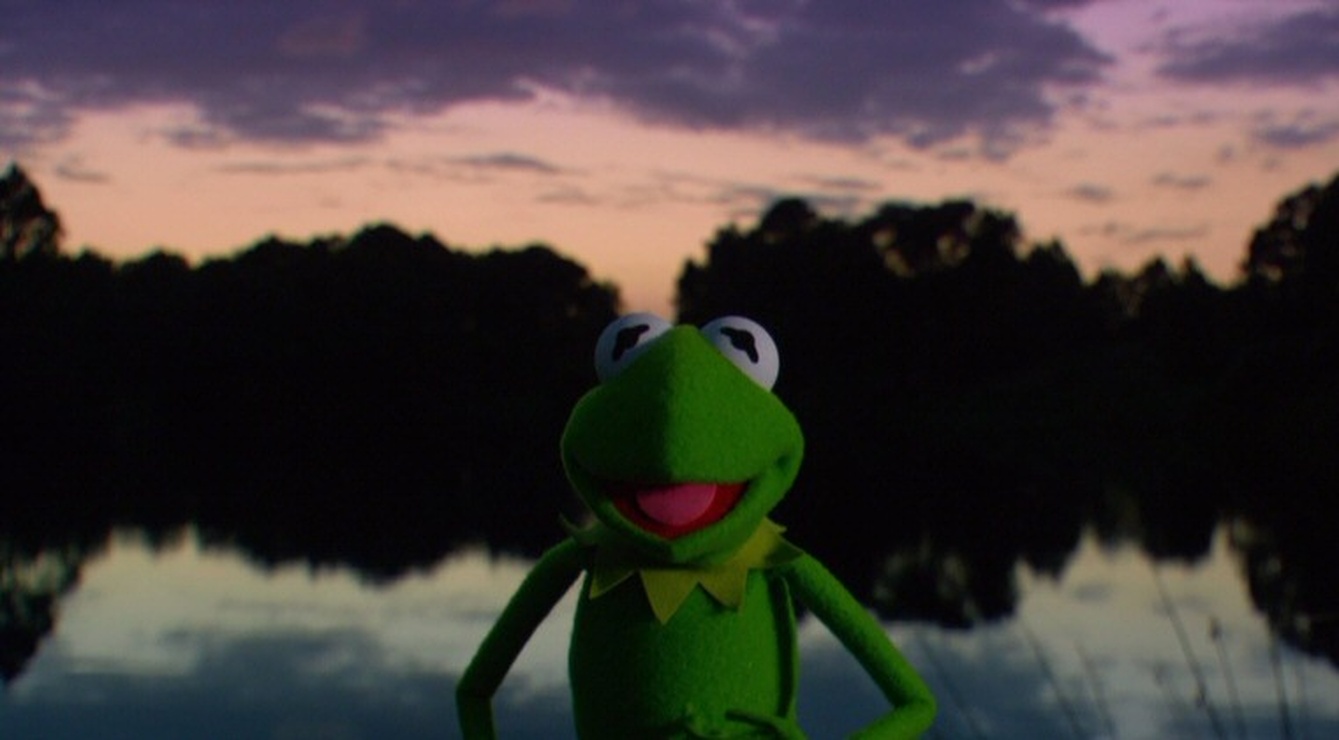 Picture of Kermit's Swamp Years (2002)