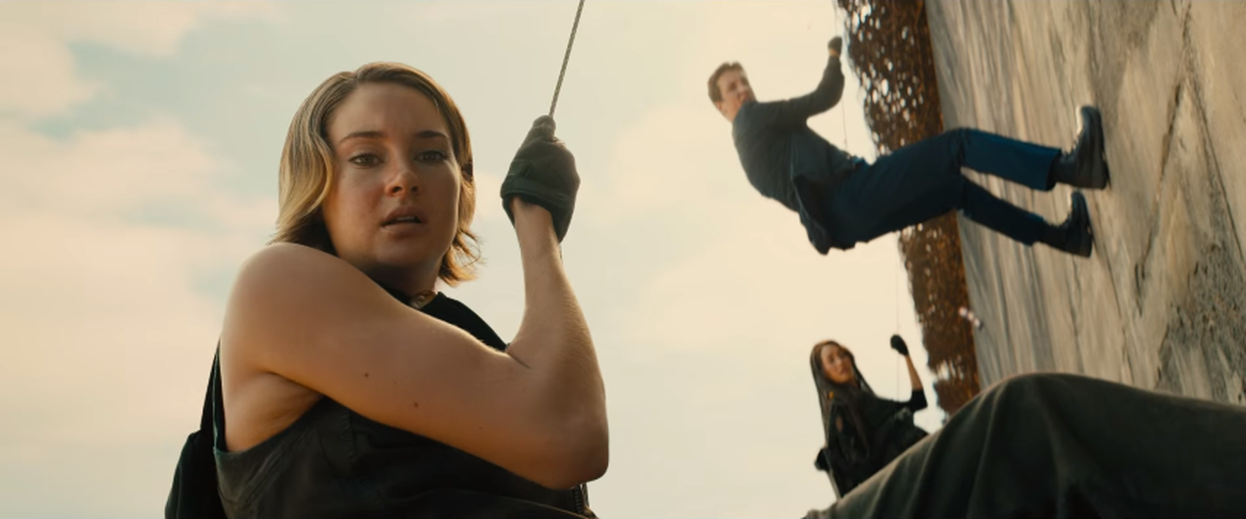 Picture of Allegiant