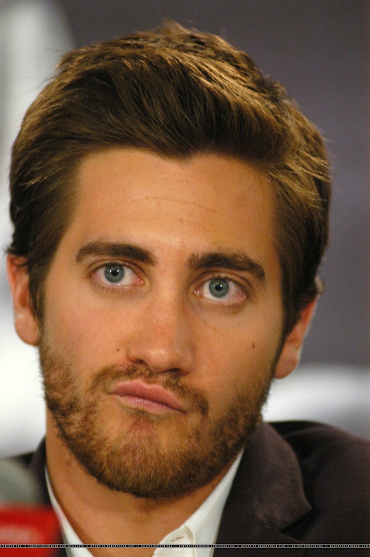 Jake Gyllenhaal image