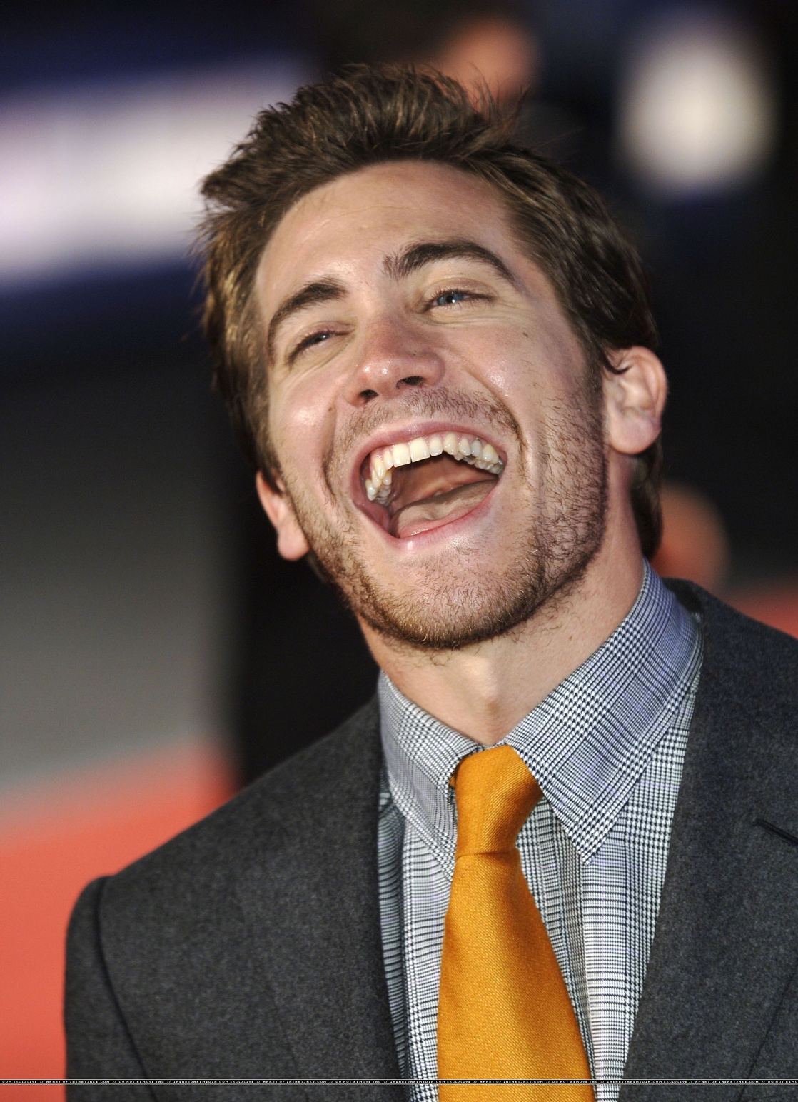 Picture of Jake Gyllenhaal