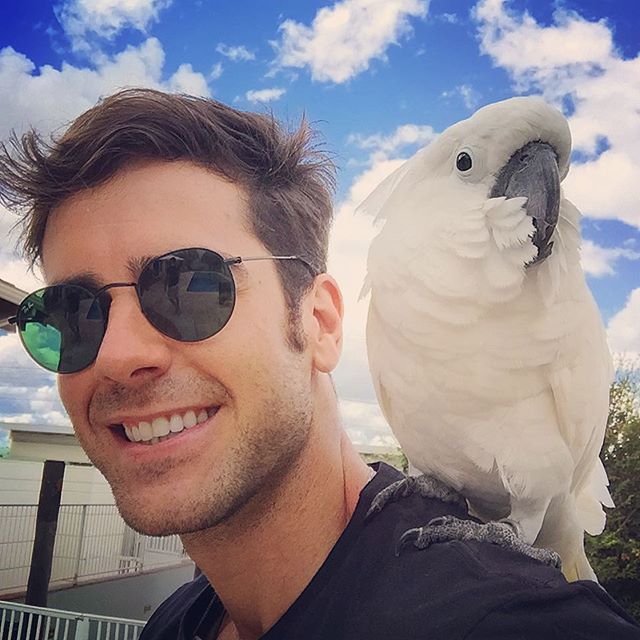 Picture of Marcos Pitombo