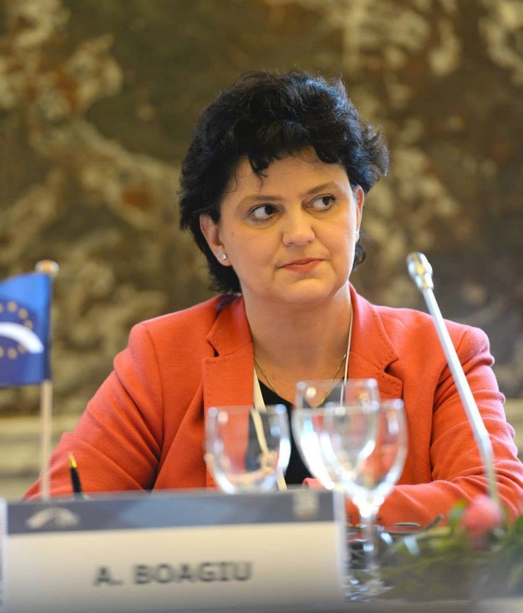 Anca-Daniela Boagiu image