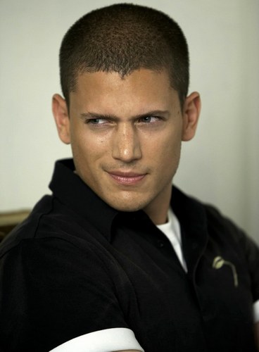 Picture of Wentworth Miller