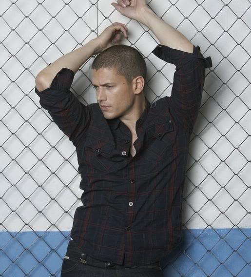 Picture of Wentworth Miller