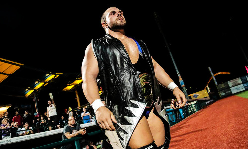 Michael Elgin image