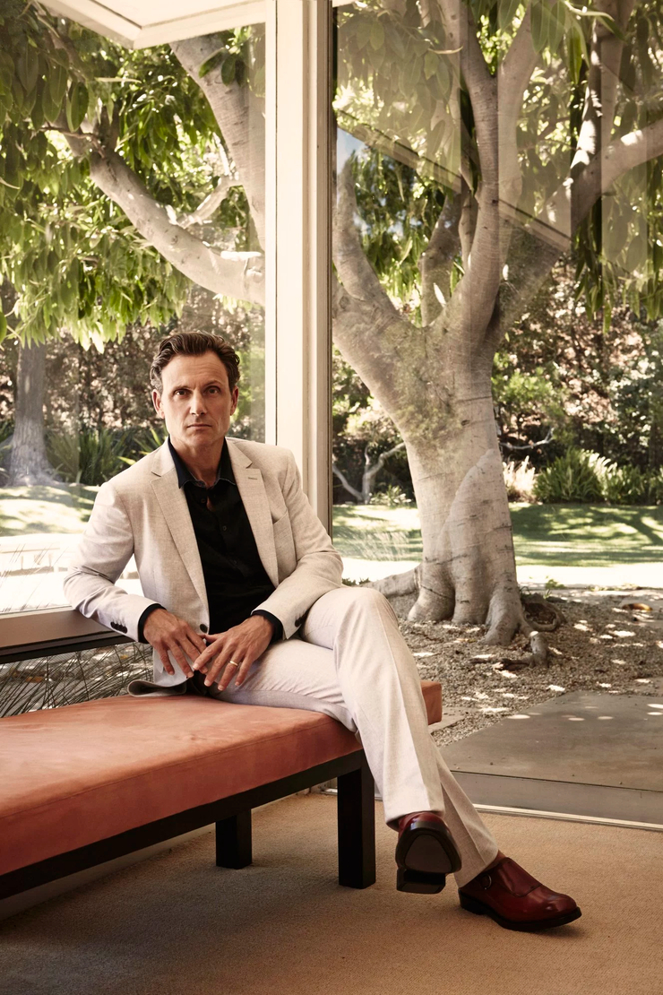 Tony Goldwyn image