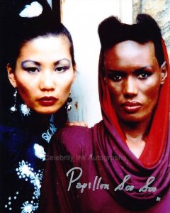 Picture of Papillon Soo