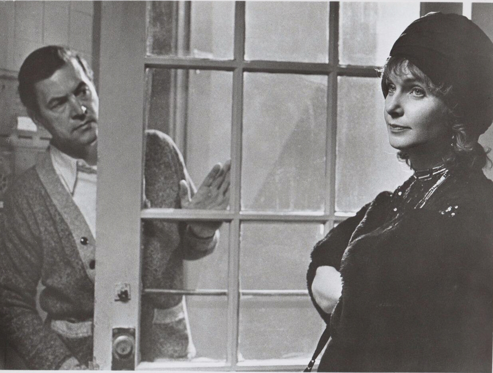 The Effect of Gamma Rays on Man-in-the-Moon Marigolds image