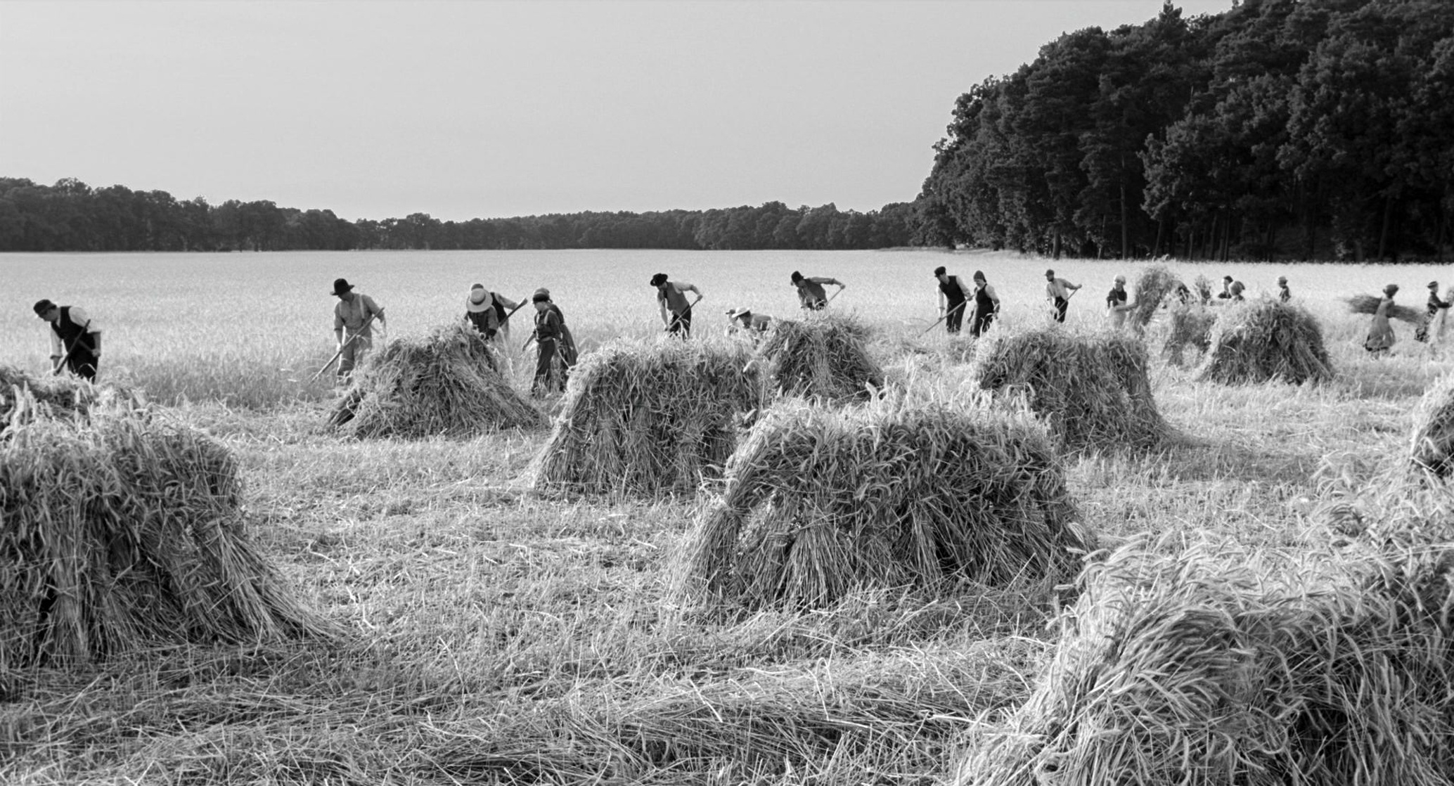 The White Ribbon (2009) image