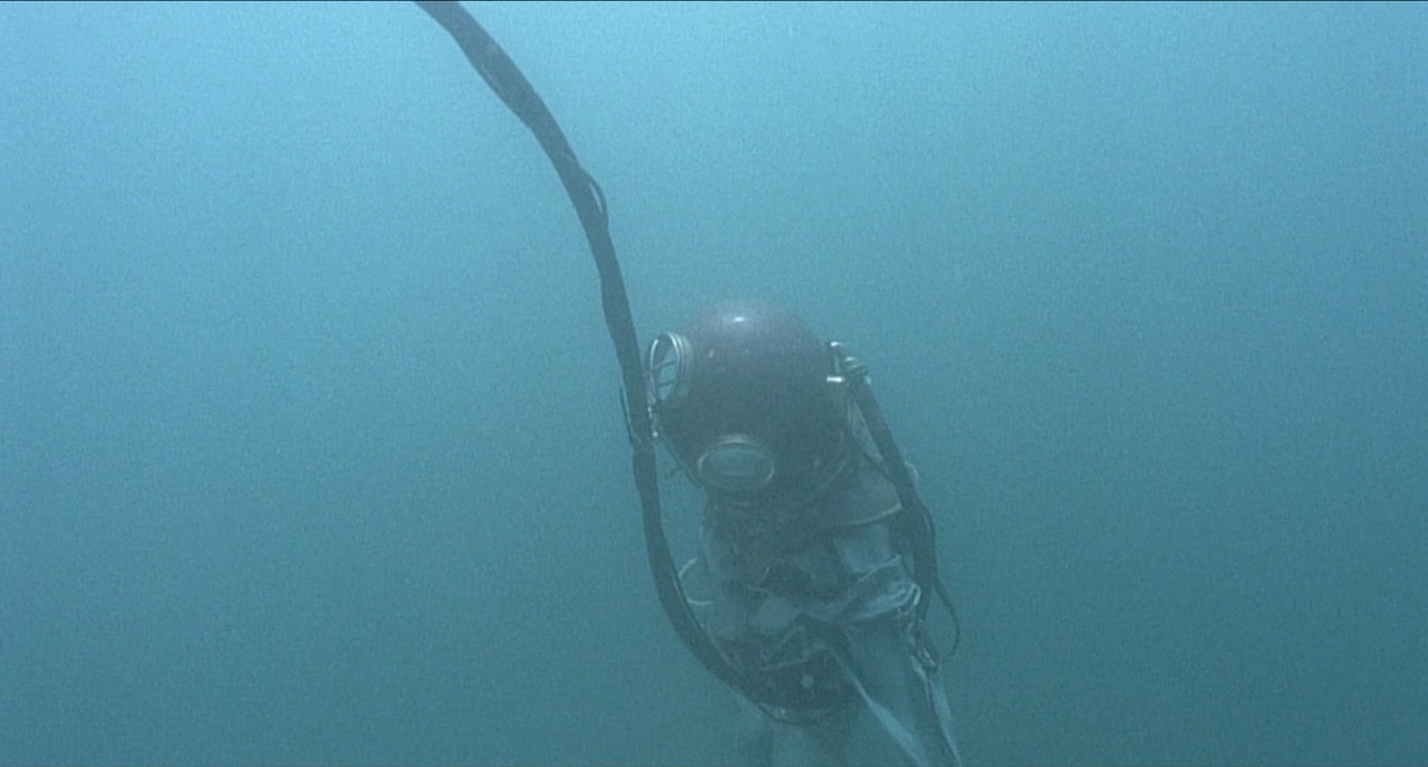 Picture of The Diving Bell and the Butterfly
