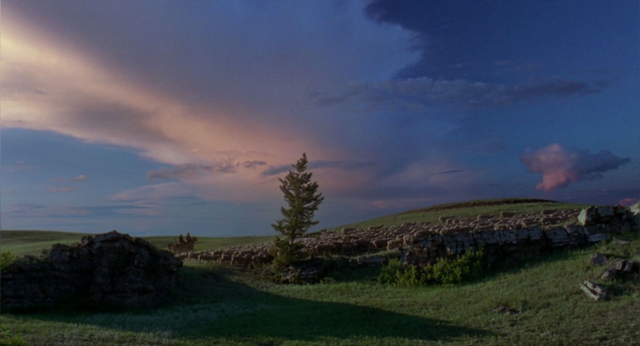 Picture of Brokeback Mountain