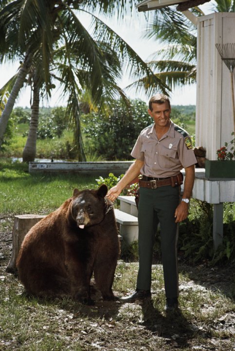 Picture of Gentle Ben