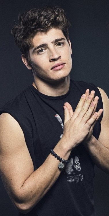 Picture of Gregg Sulkin