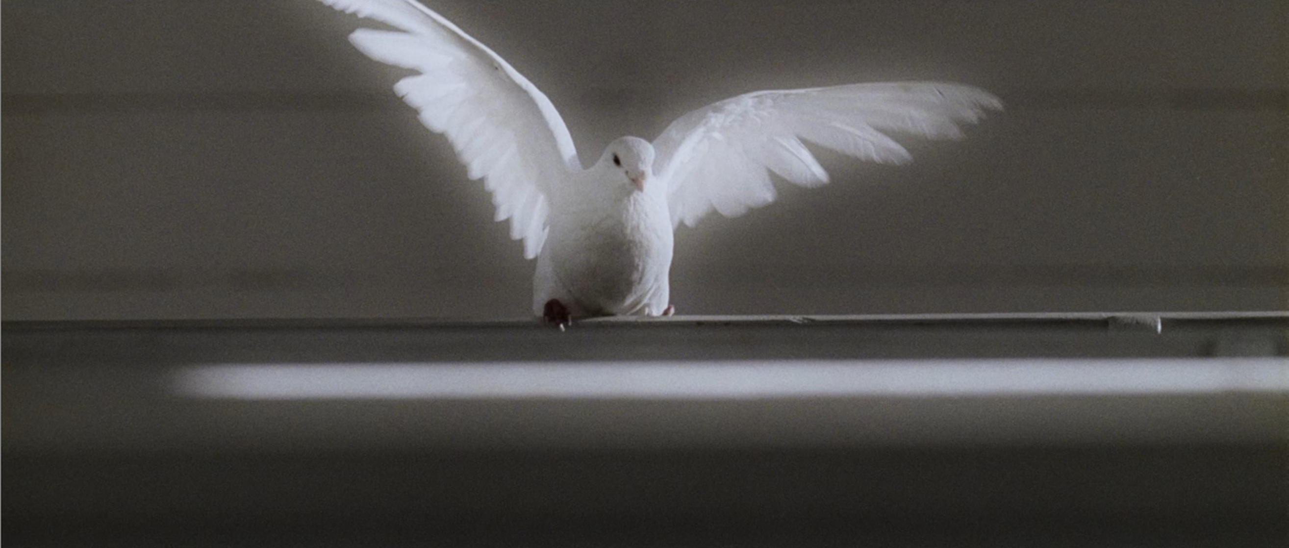 Picture of Cold Mountain