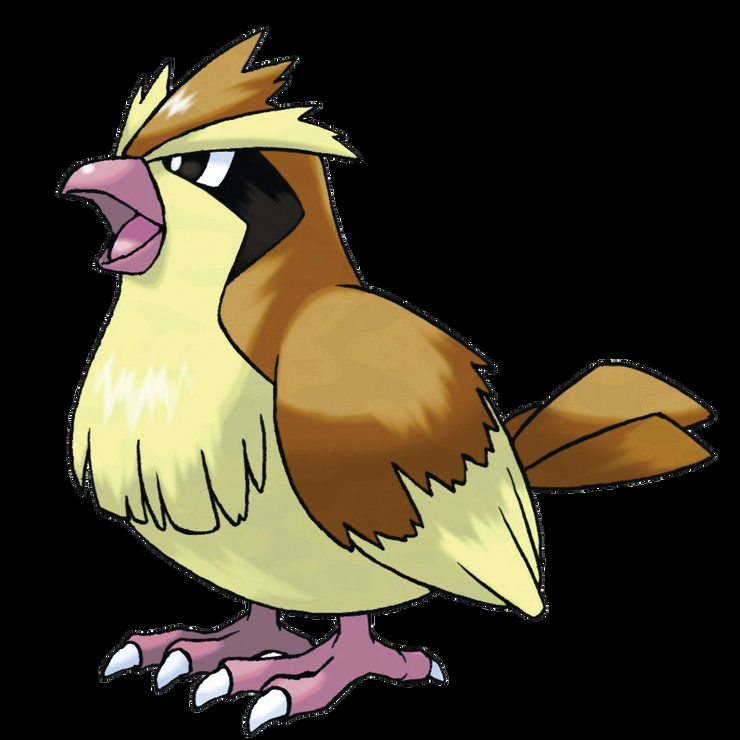 Picture of Pidgey