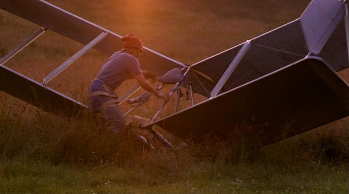 Picture of Fly Away Home