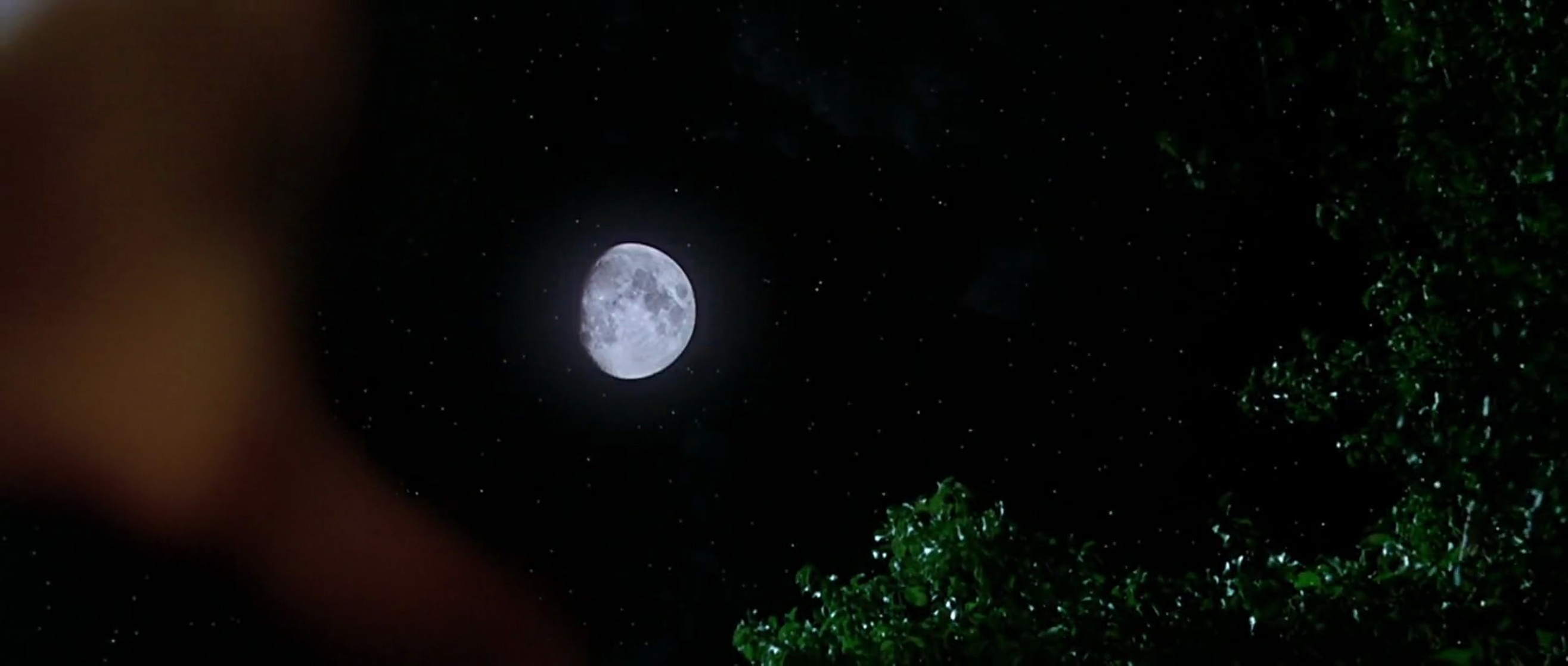 Picture of Apollo 13