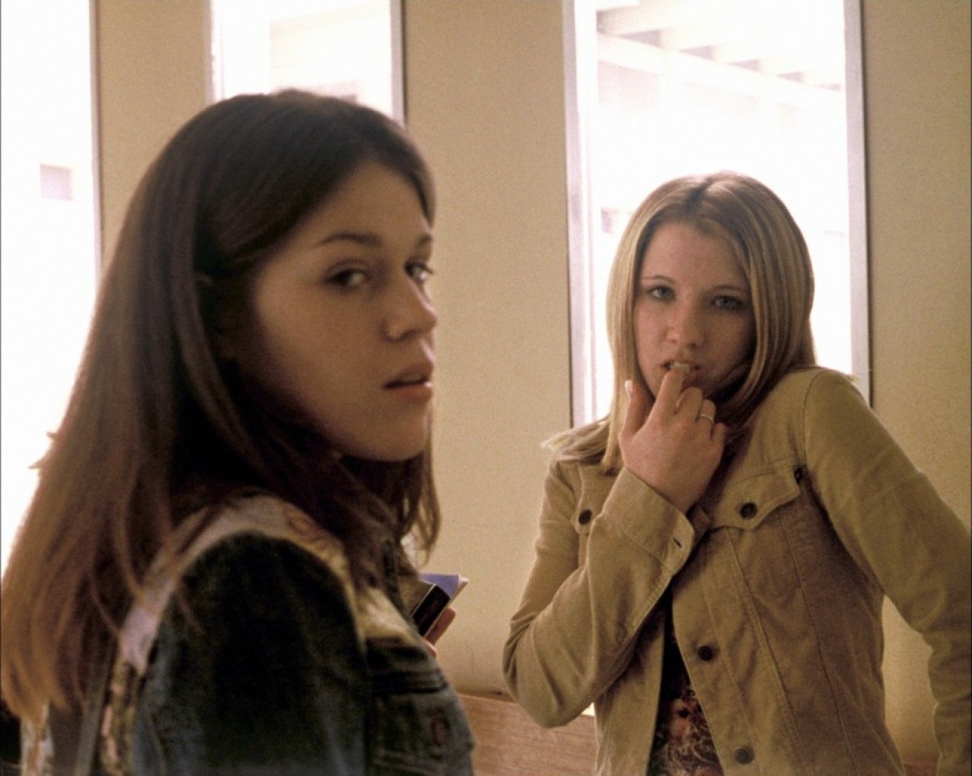 Picture of Elephant (2003)