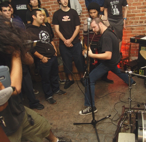 Picture of Insect Warfare