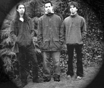 Image of Behold... The Arctopus