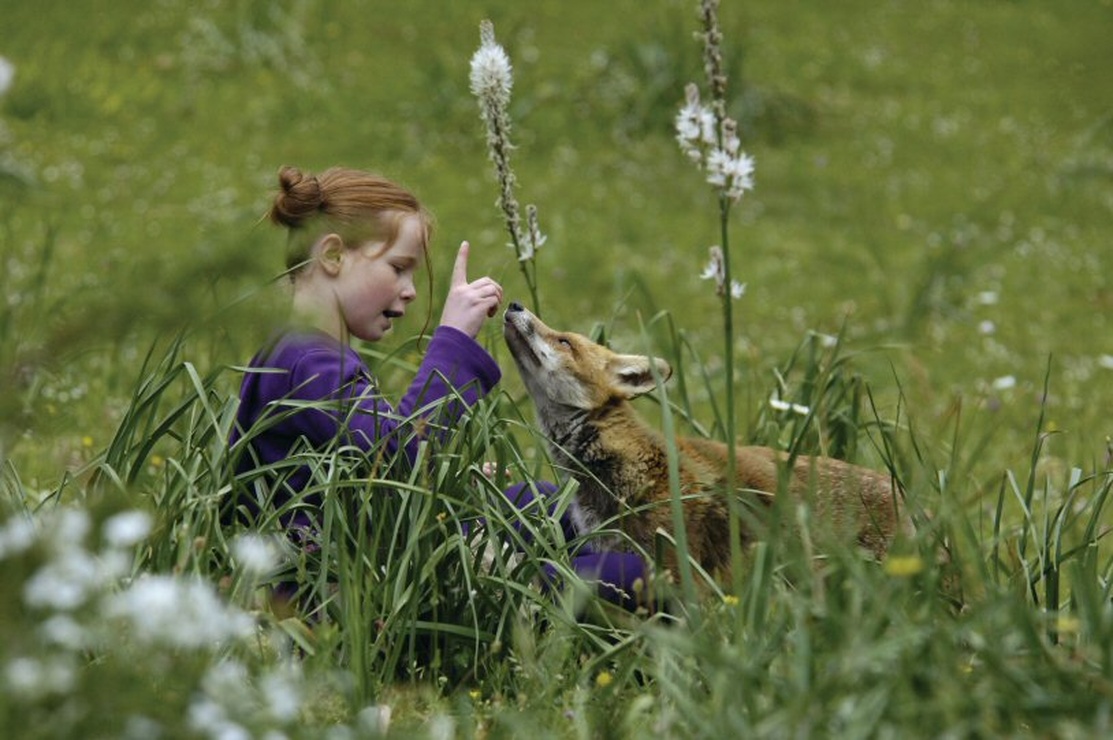 Picture of The Fox and the Child