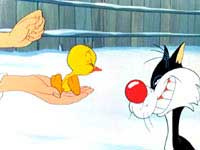 Picture of Tweetie Pie