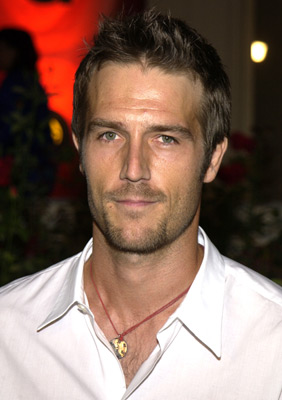 Picture of Michael Vartan