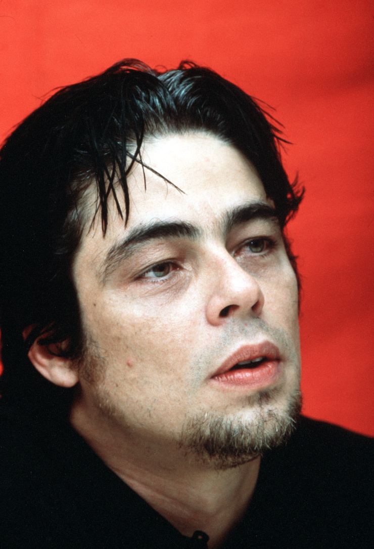 Image of Benicio Del Toro