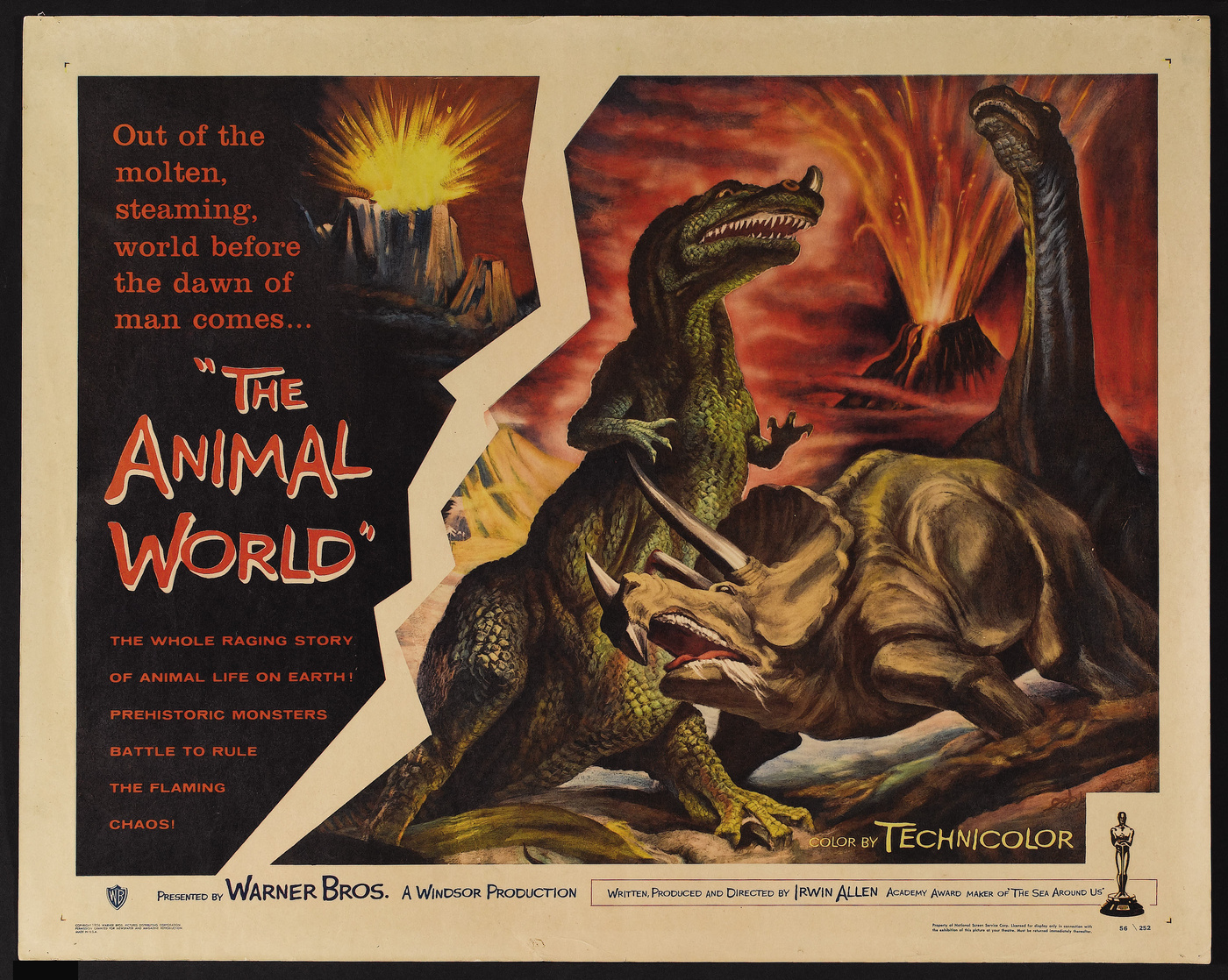 Picture of The Animal World