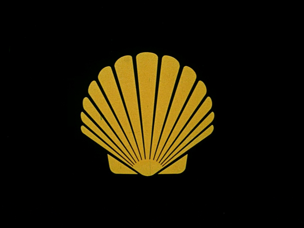 Picture of This Is Shell