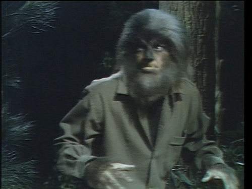 Picture of Alex Stevens