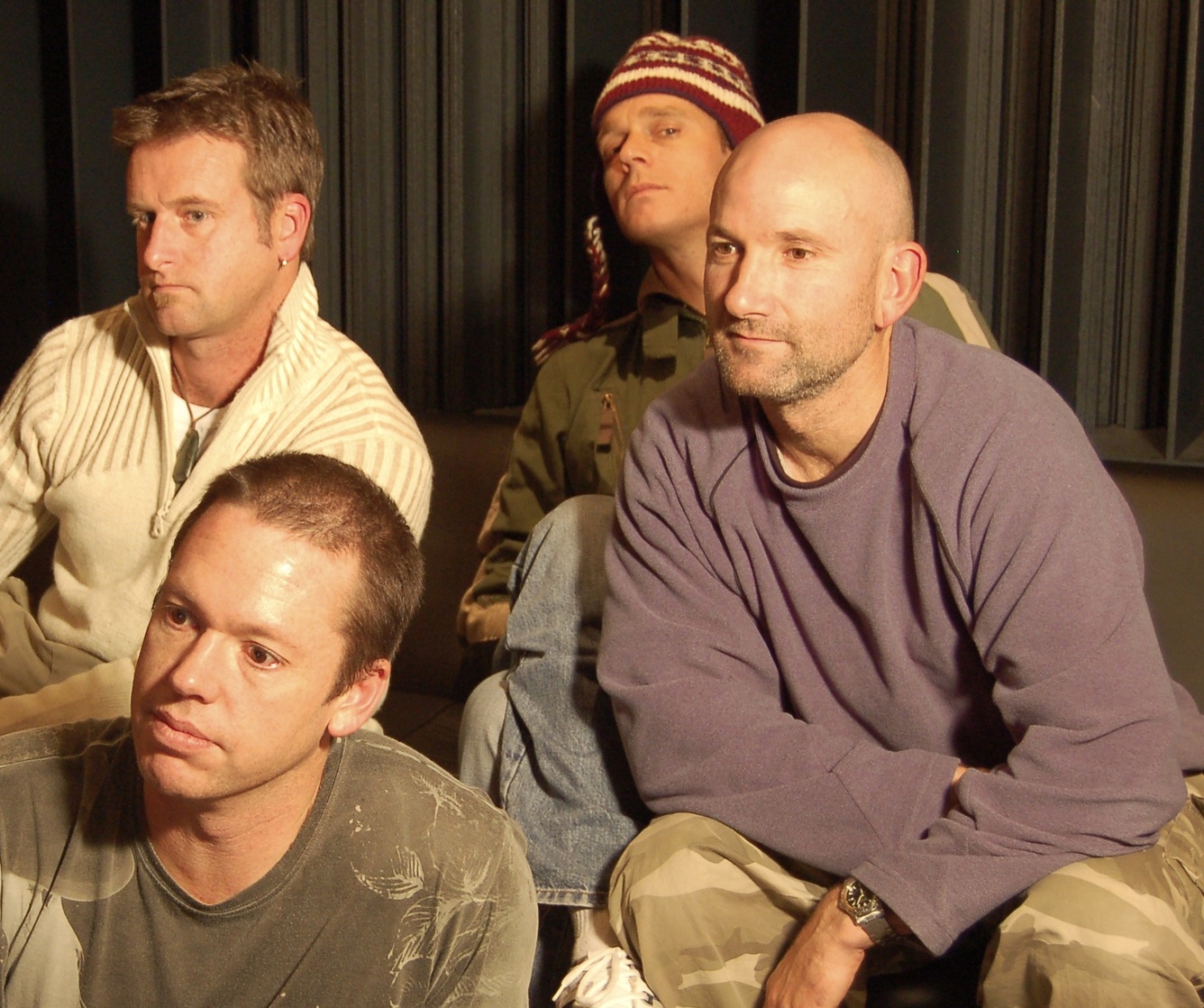 Picture of Salmonella Dub