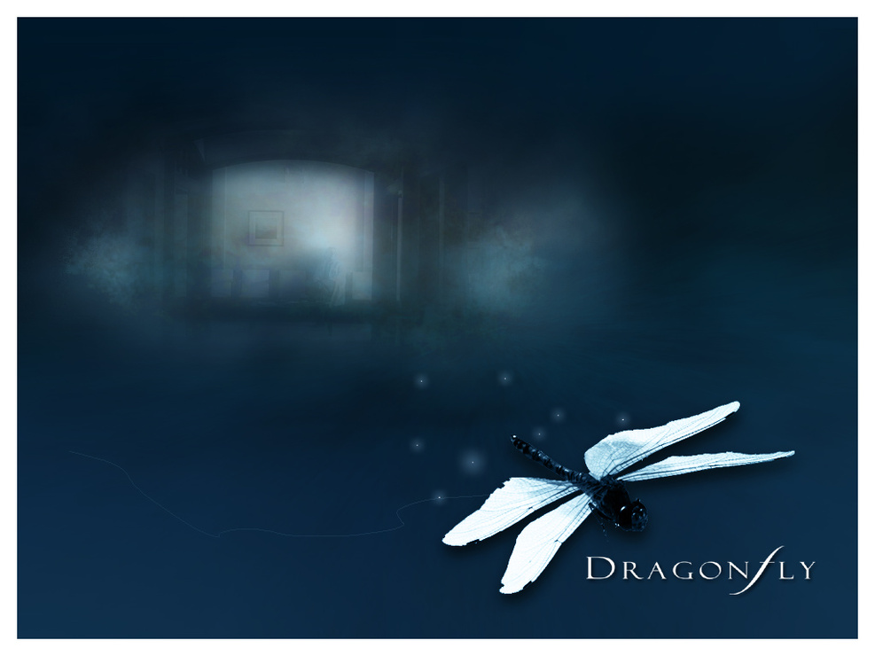 Picture of Dragonfly