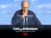 Larry David: Curb Your Enthusiasm picture