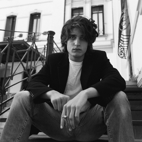 Louis Garrel image