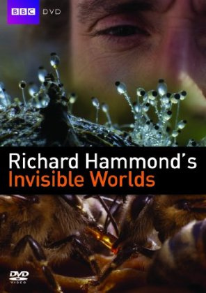 Picture of Richard Hammond's Invisible Worlds