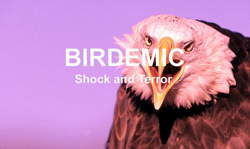 Picture of Birdemic: Shock and Terror