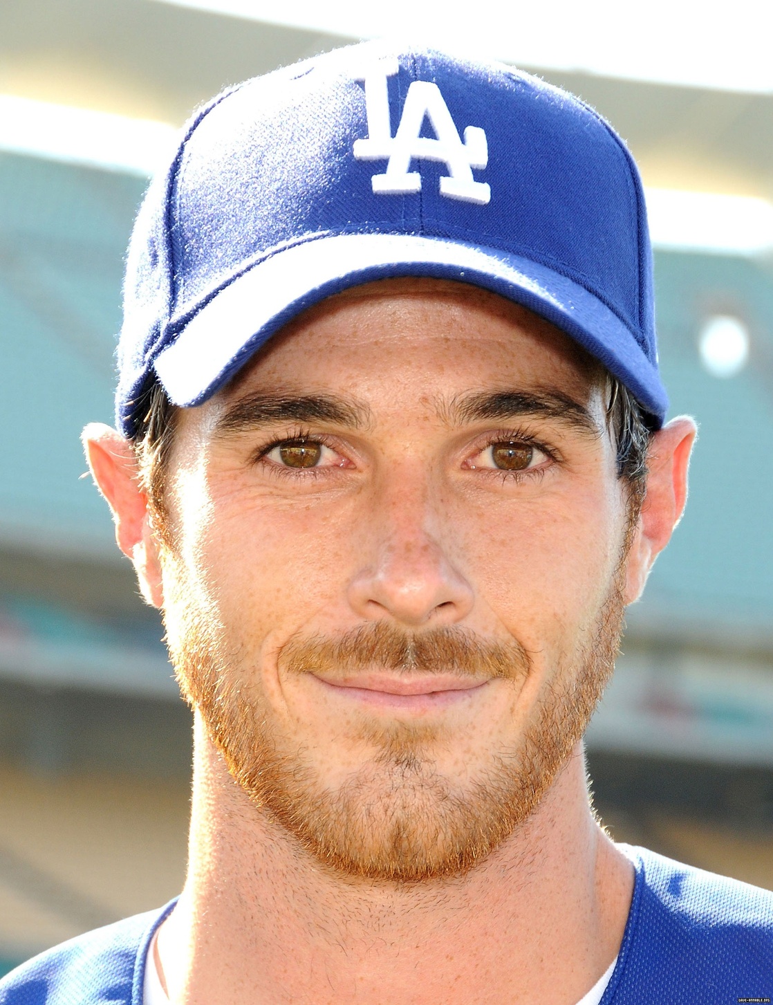 Image of Dave Annable