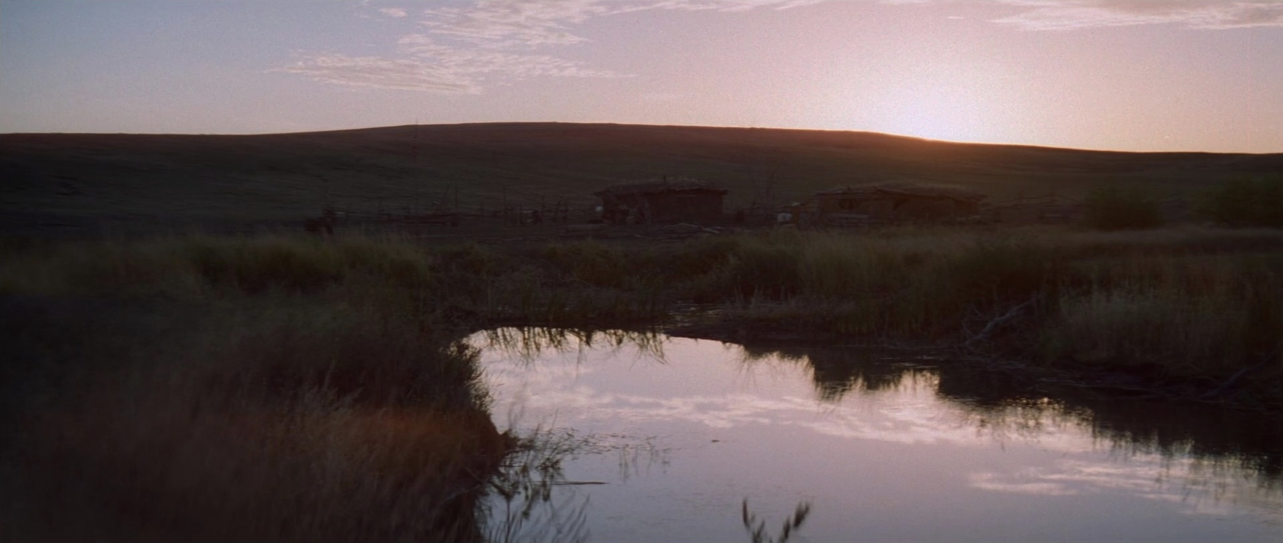 Picture of Dances with Wolves