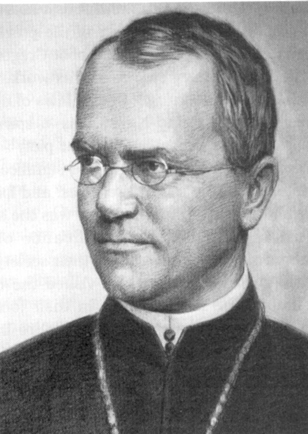Gregor Mendel picture