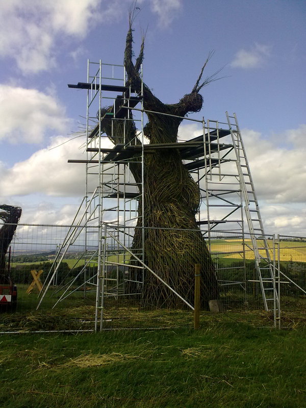 Picture of The Wicker Tree (2012)