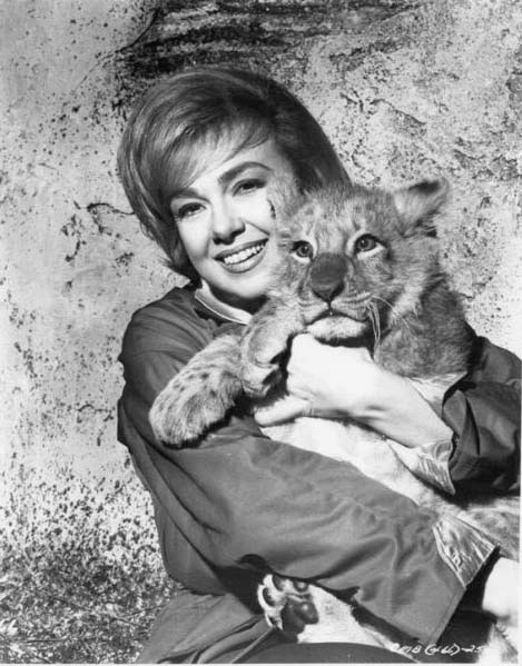 Edie Adams