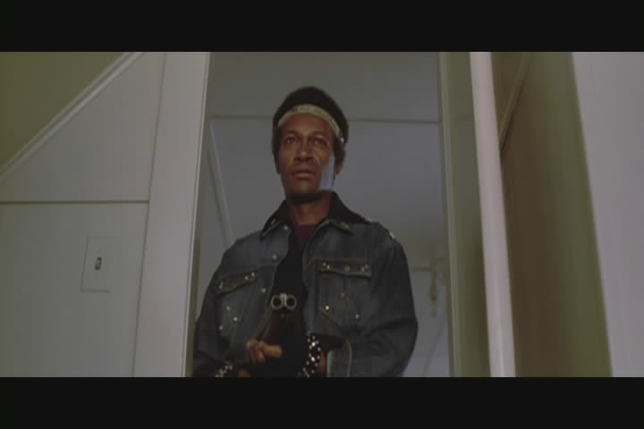 Picture of Vigilante (1982)