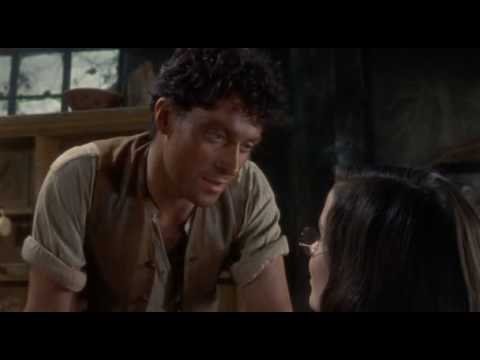 Picture of Cold Comfort Farm (1995)