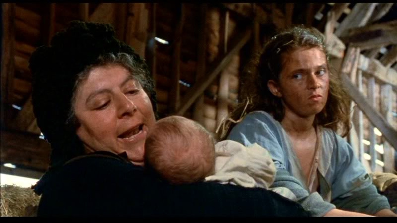 Picture of Cold Comfort Farm (1995)