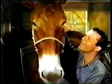 Picture of Scudda Hoo! Scudda Hay!