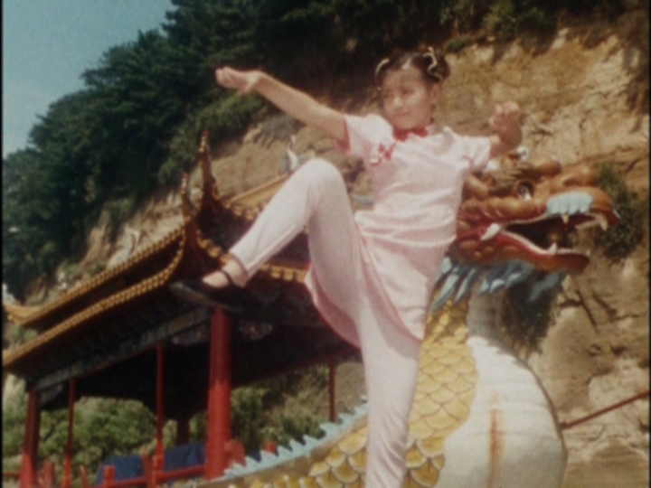 Picture of Rin (Dairanger)