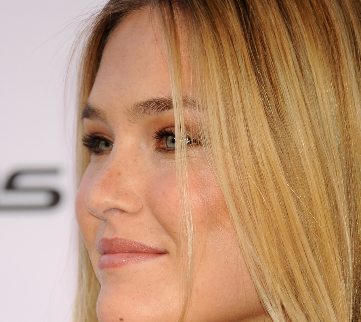 Picture of Bar Refaeli